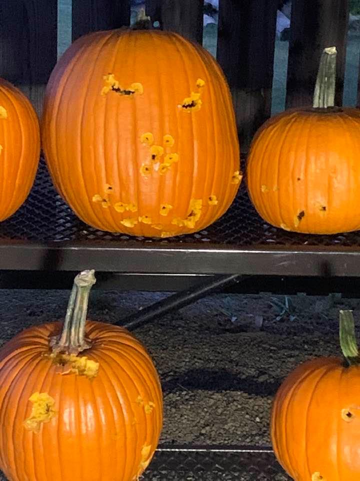 Firearms training that begins with a solid foundation – Guns may ...